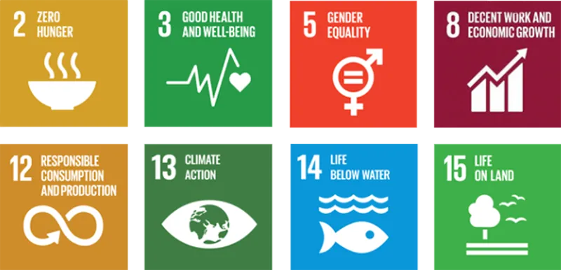 Fazer's prioritised sustainable development goals - Fazer Group