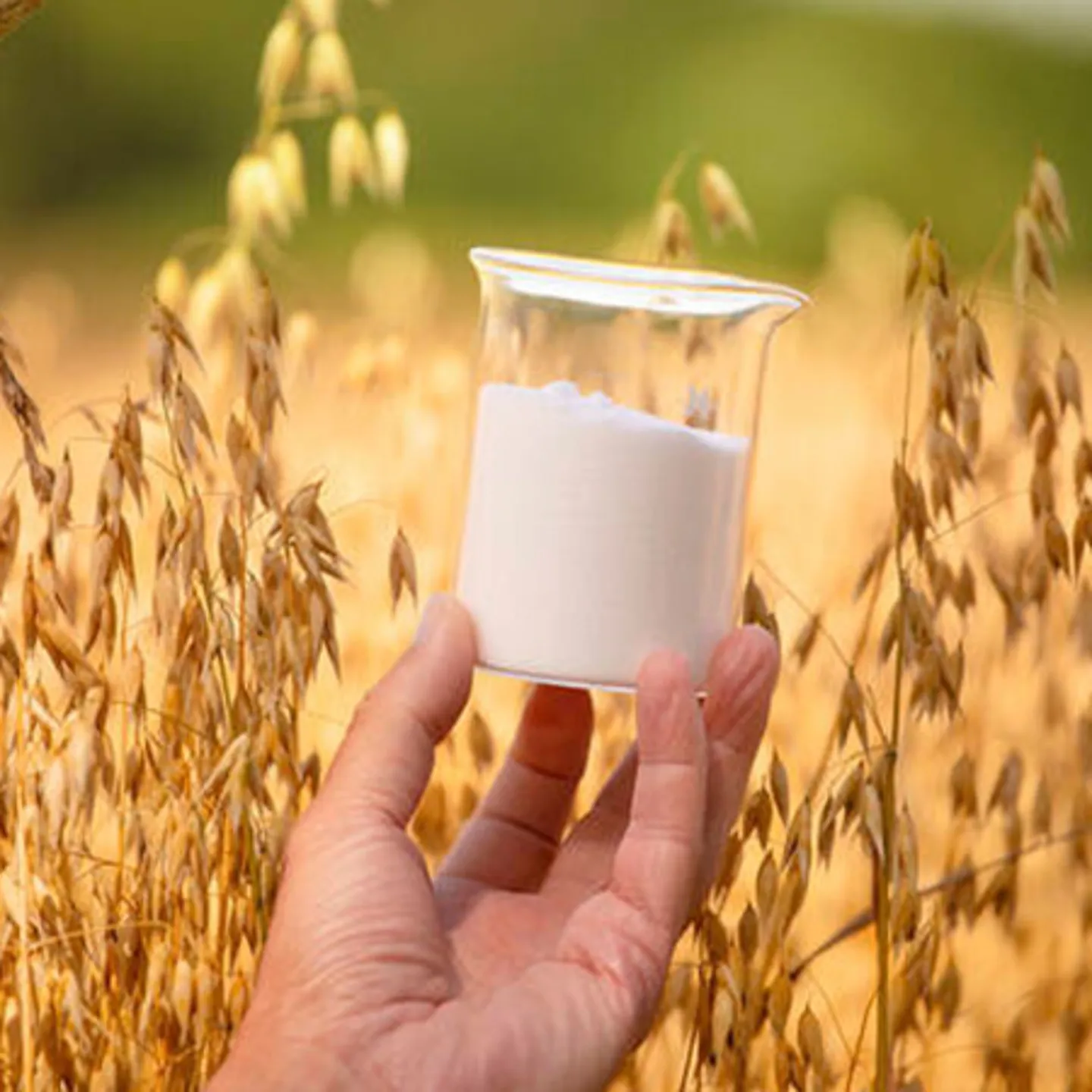 Fazer Upcycled - Fazer Group